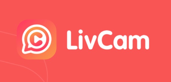 Lollichat Review: A Waste of Time for Adult Fun? | JerkRoulette